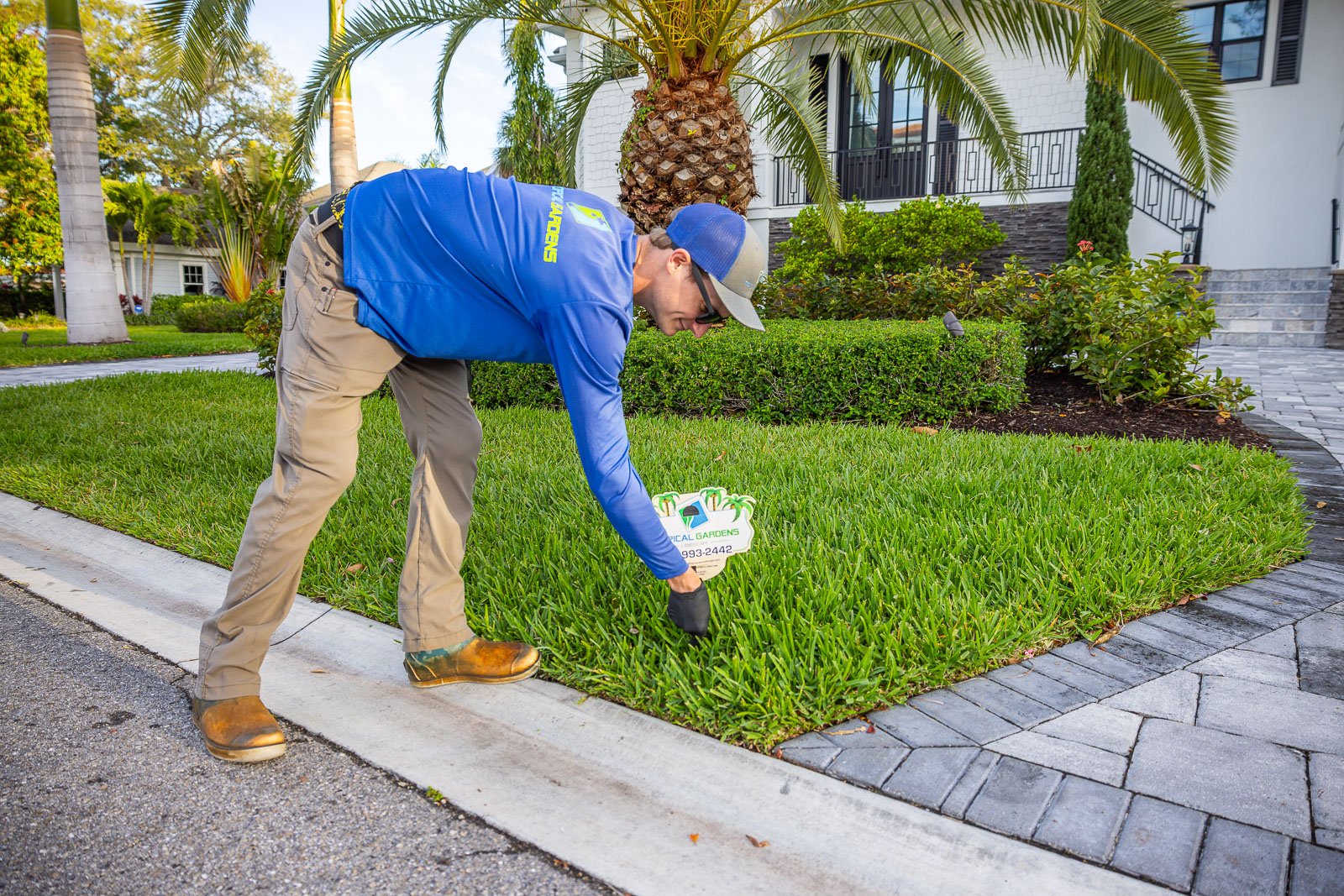 5 Common Pests And Diseases In Florida That Affect Tropical Plants